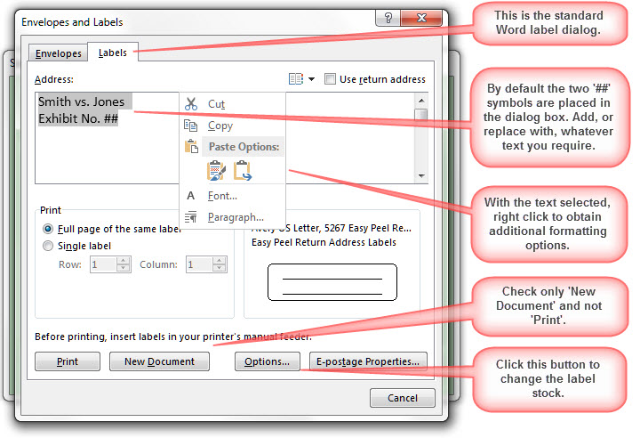  How To Print Address Labels In Word 2010 Copaxplay